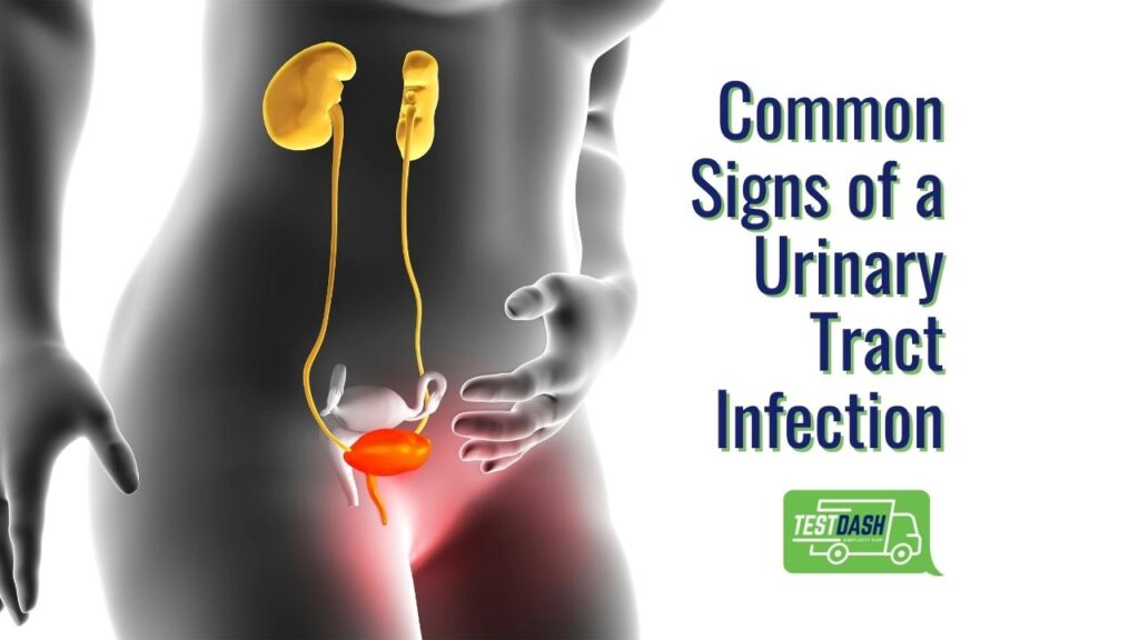 Common Signs Of A Urinary Tract Infection Testdash